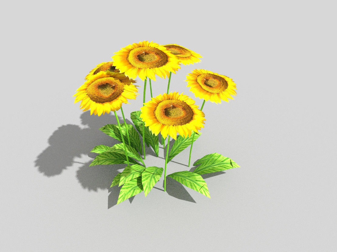 low poly flower 3D model low-poly | CGTrader