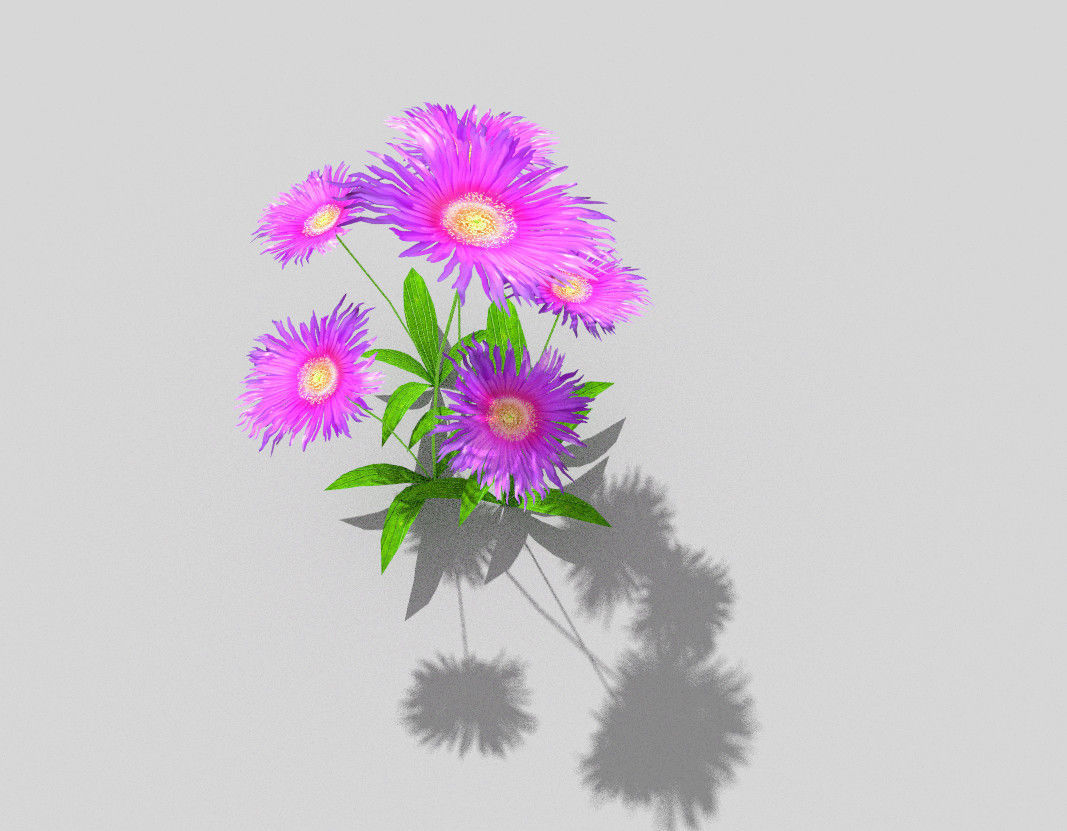 3D model low poly flower VR / AR / low-poly | CGTrader