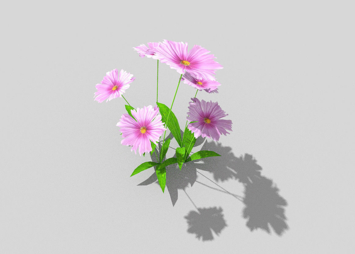 3D model low poly flower flowers VR / AR / low-poly | CGTrader