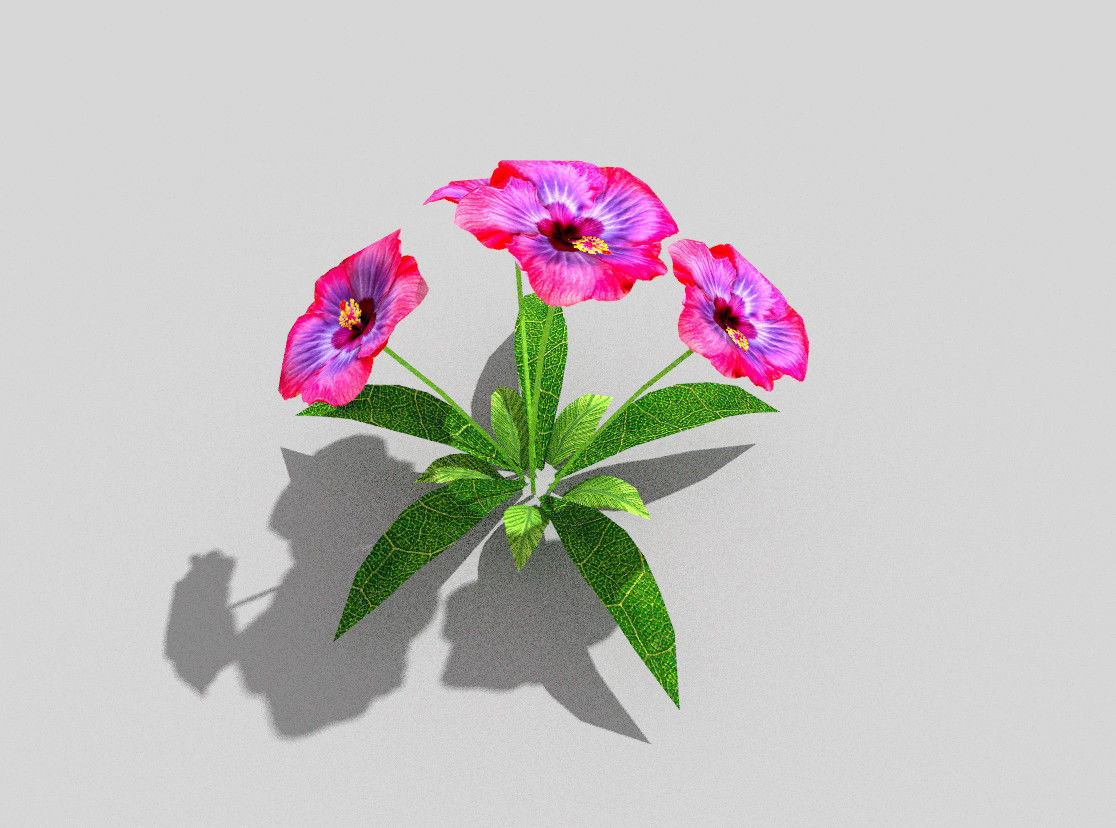 3D model low poly flower VR / AR / low-poly | CGTrader