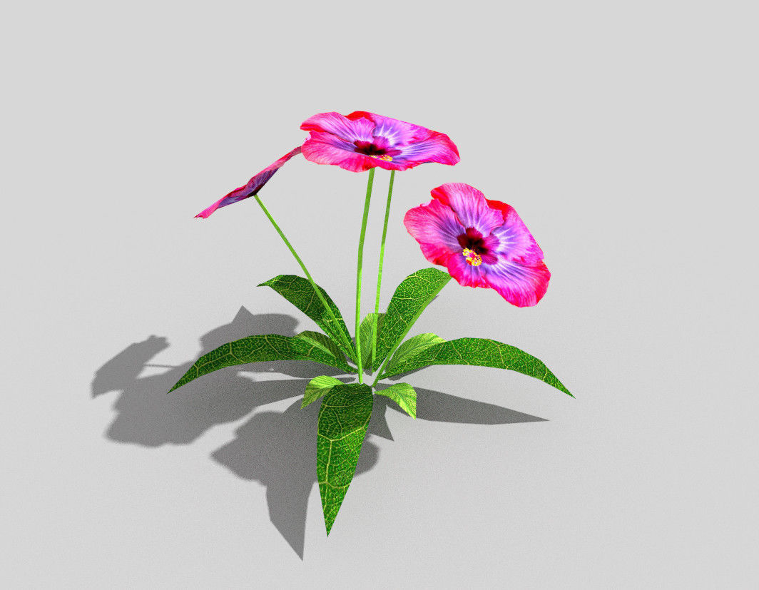 low poly flower grow 3D model game-ready | CGTrader