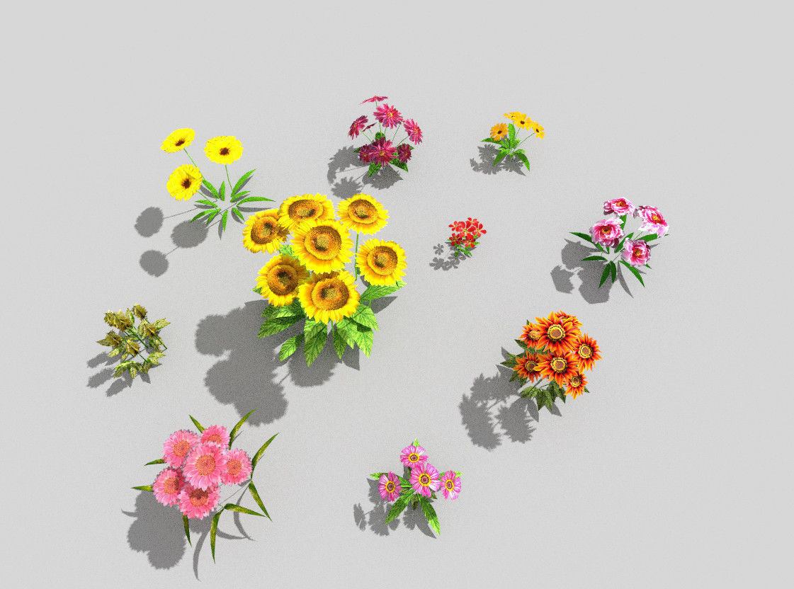 3D model 10 low poly flowers pack VR / AR / low-poly | CGTrader