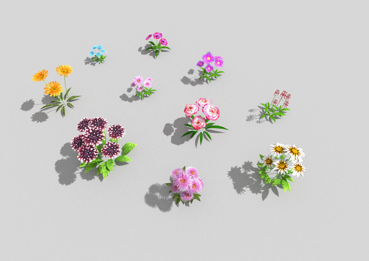 3D model 10 low poly flowers pack 2 VR / AR / low-poly | CGTrader