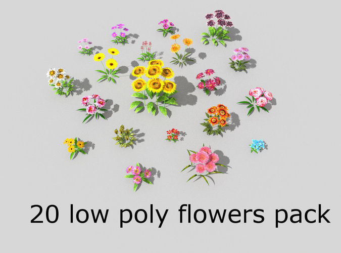 3D model 20 low poly flowers pack VR / AR / low-poly | CGTrader