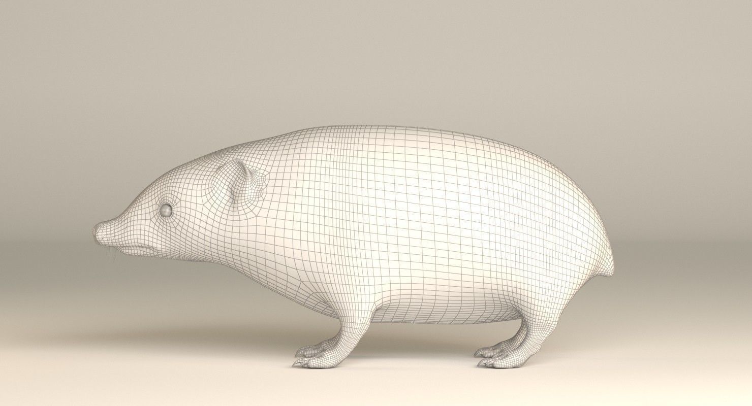 Hedgehog 3D model | CGTrader