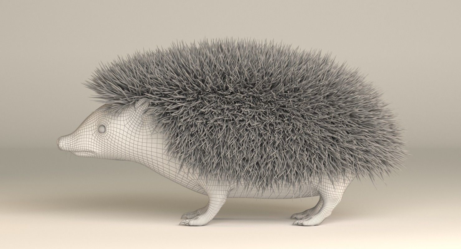 Hedgehog 3D model | CGTrader