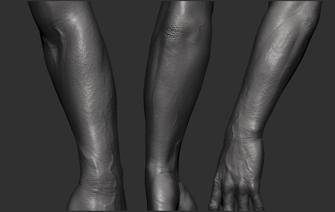 Hand Zbrush Realistic 3D model | CGTrader