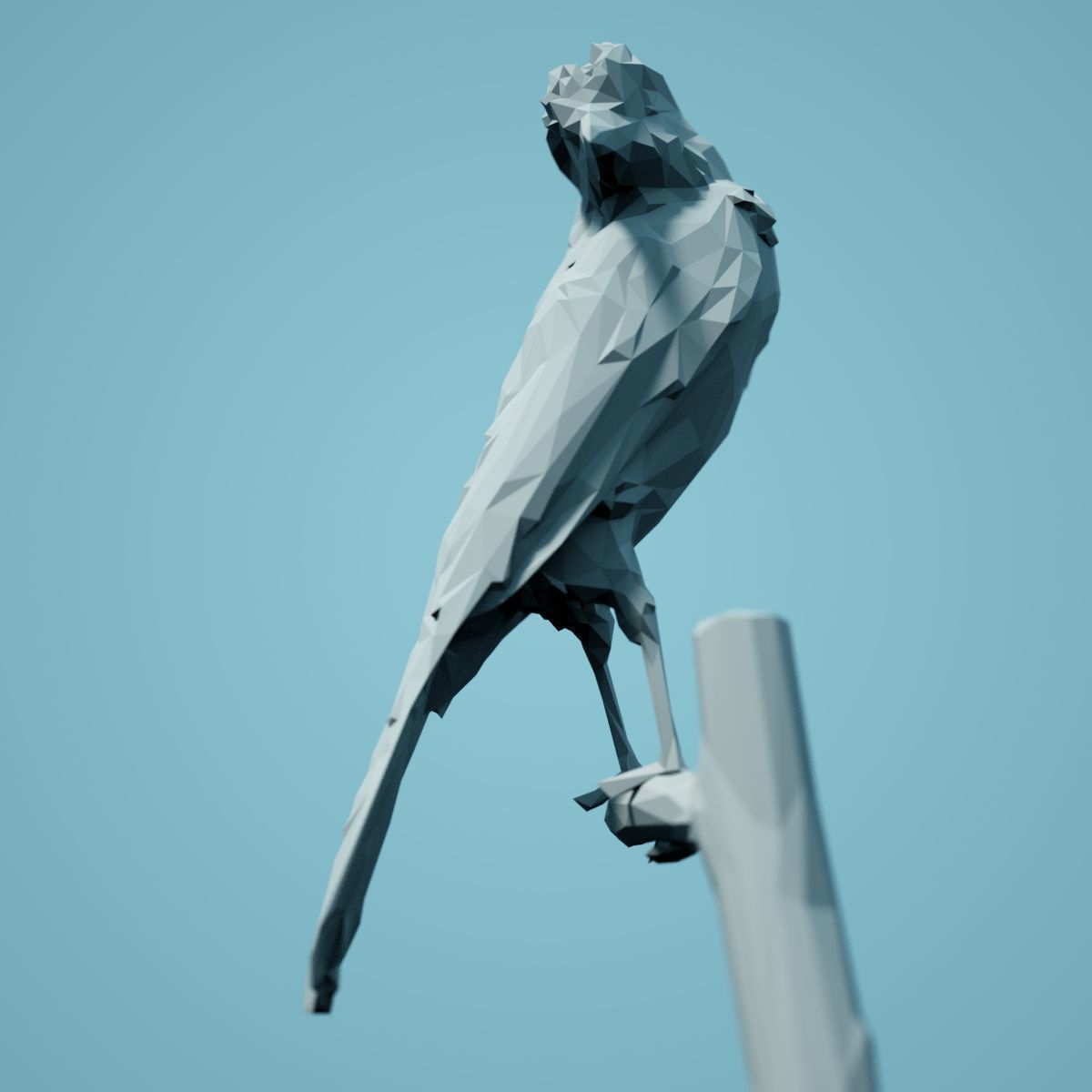 3D model Bird Collection V2 Low Poly Models VR / AR / low-poly | CGTrader