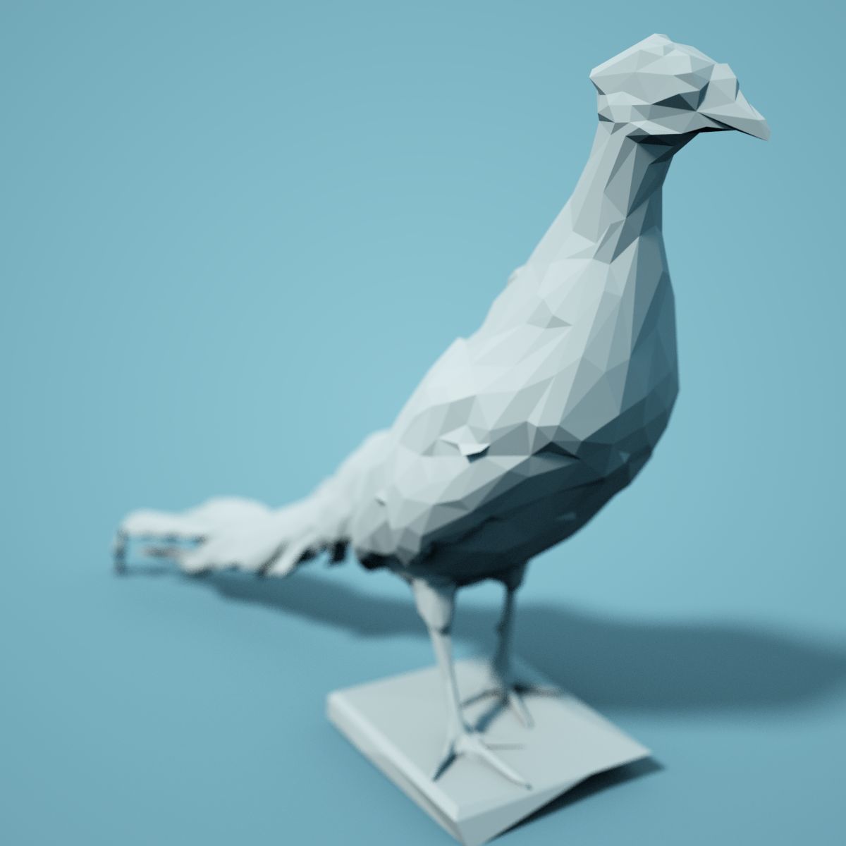 3D model Bird Collection V2 Low Poly Models VR / AR / low-poly | CGTrader