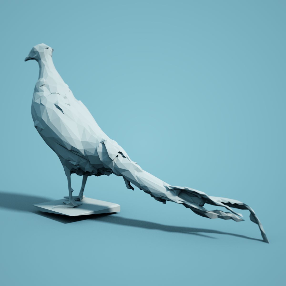 3D model Bird Collection V2 Low Poly Models VR / AR / low-poly | CGTrader