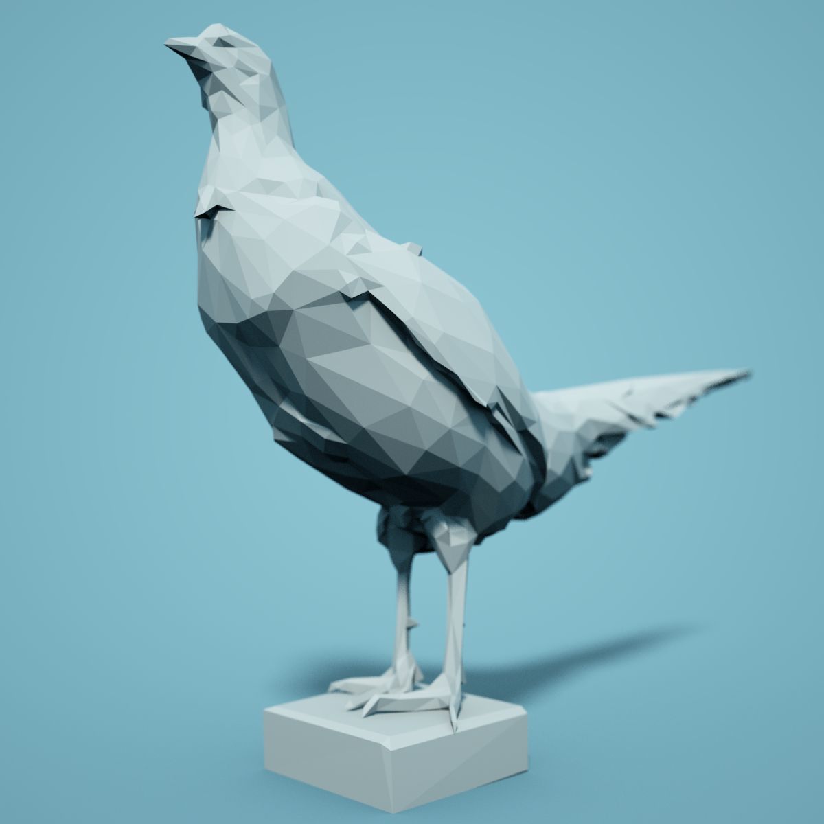 3D model Bird Collection V2 Low Poly Models VR / AR / low-poly | CGTrader