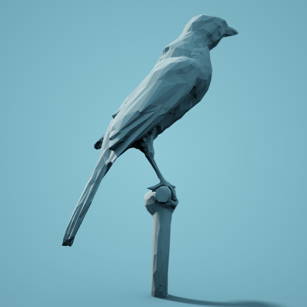 3D model Bird Collection V3 Low Poly Models VR / AR / low-poly | CGTrader