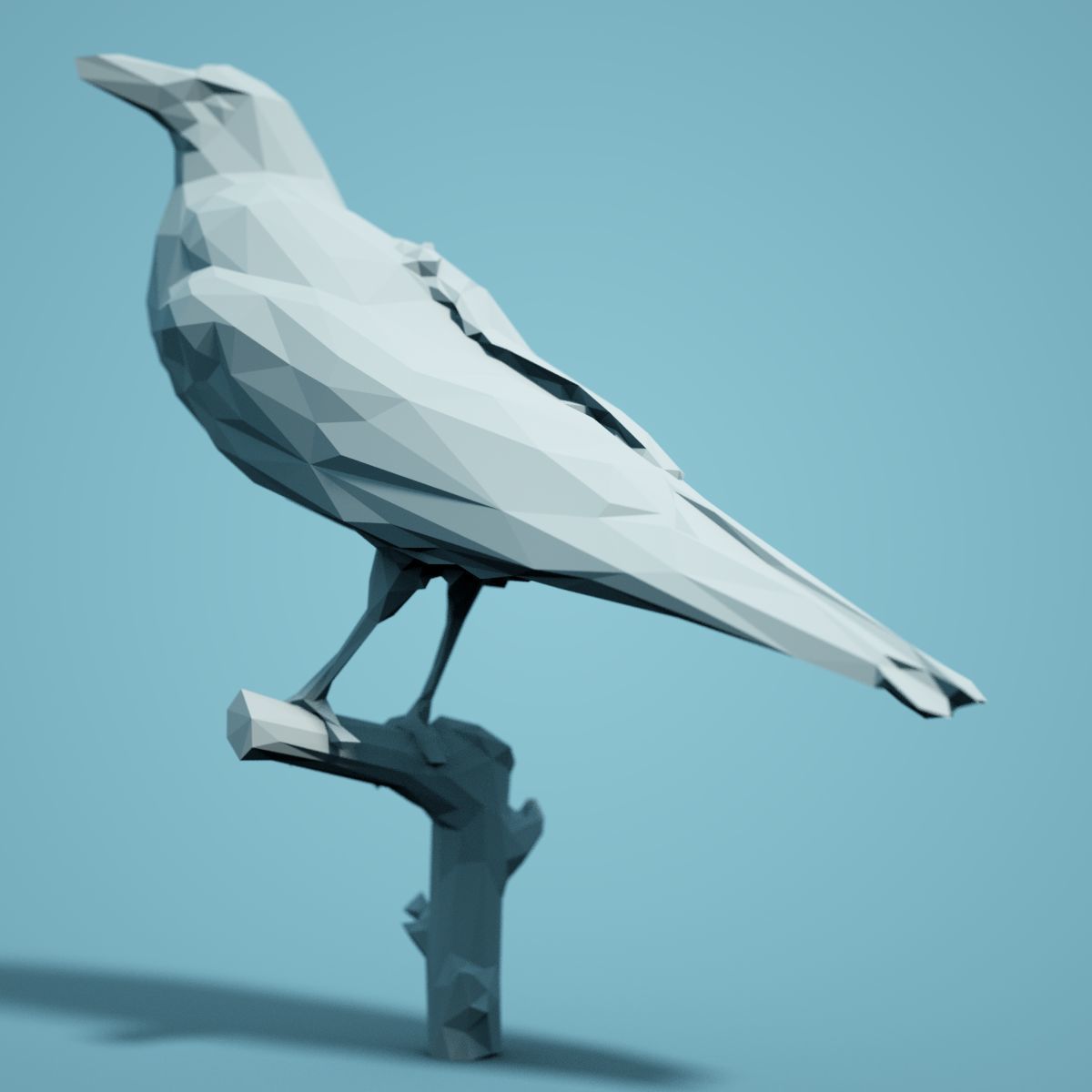 3D model Bird Collection V3 Low Poly Models VR / AR / low-poly | CGTrader