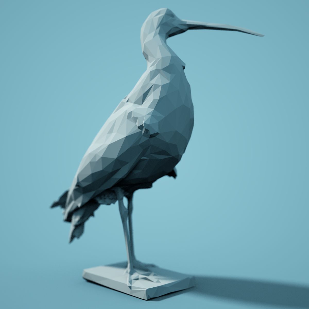 3D model Low Poly bird Collection VR / AR / low-poly | CGTrader