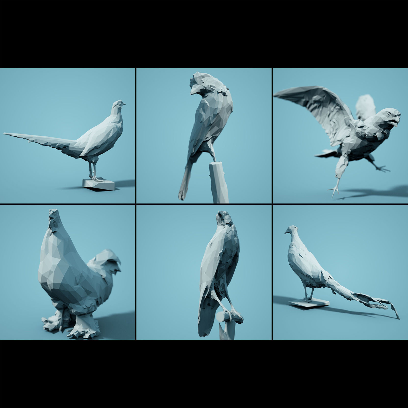 3D model Low Poly bird Collection VR / AR / low-poly | CGTrader