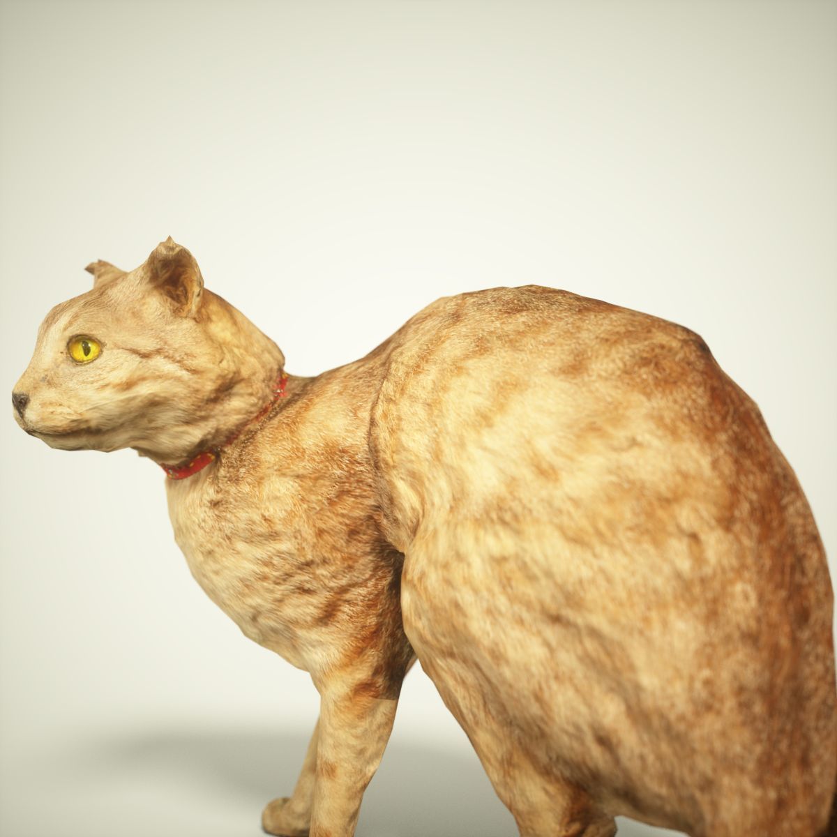 3D model 36 Animal Models Master Collection VR / AR / low-poly | CGTrader