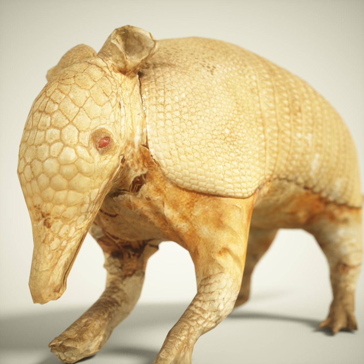 3D model 36 Animal Models Master Collection VR / AR / low-poly | CGTrader