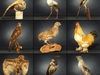 3D model 36 Animal Models Master Collection VR / AR / low-poly | CGTrader