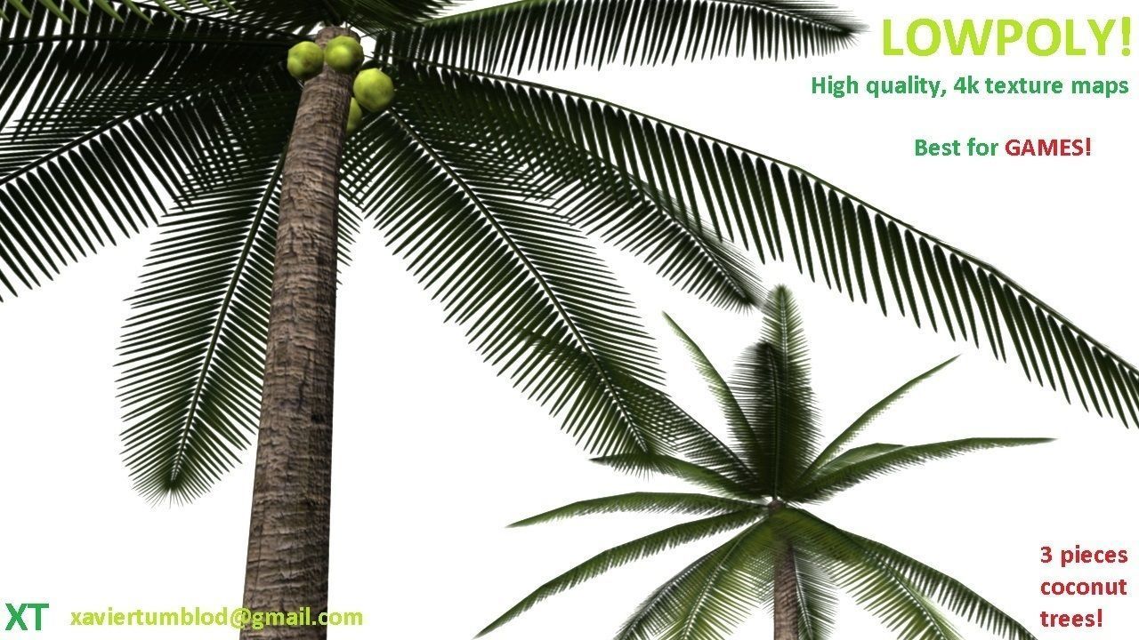 3D model Lowpoly Coconut Tree VR / AR / low-poly | CGTrader