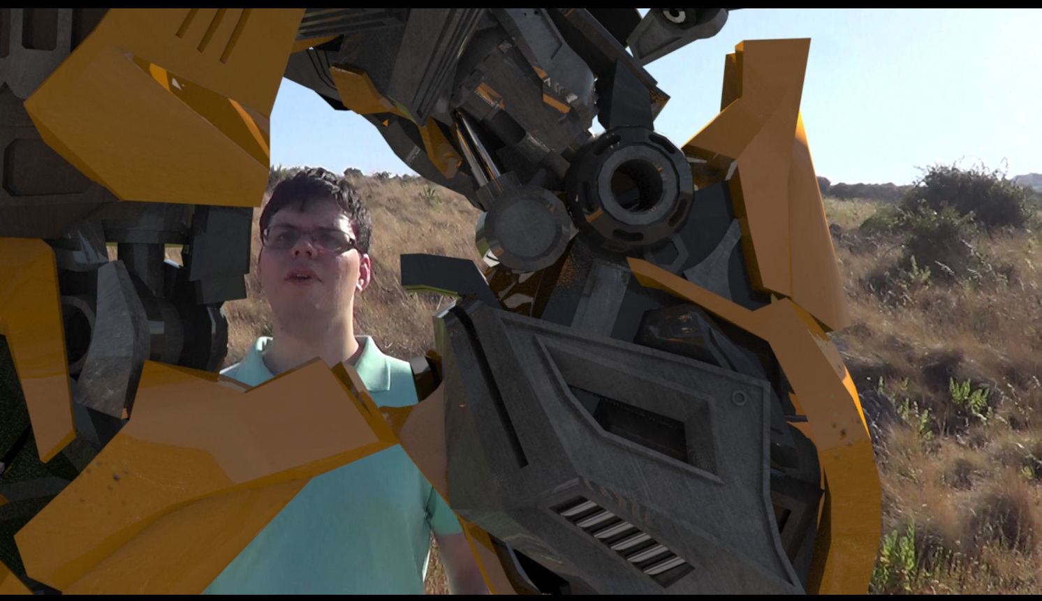 Bumblebee Forever - 3d animated model 3D model animated rigged | CGTrader