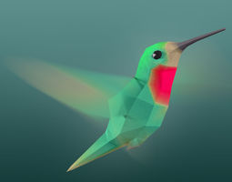 Hummingbird 3D Models | CGTrader
