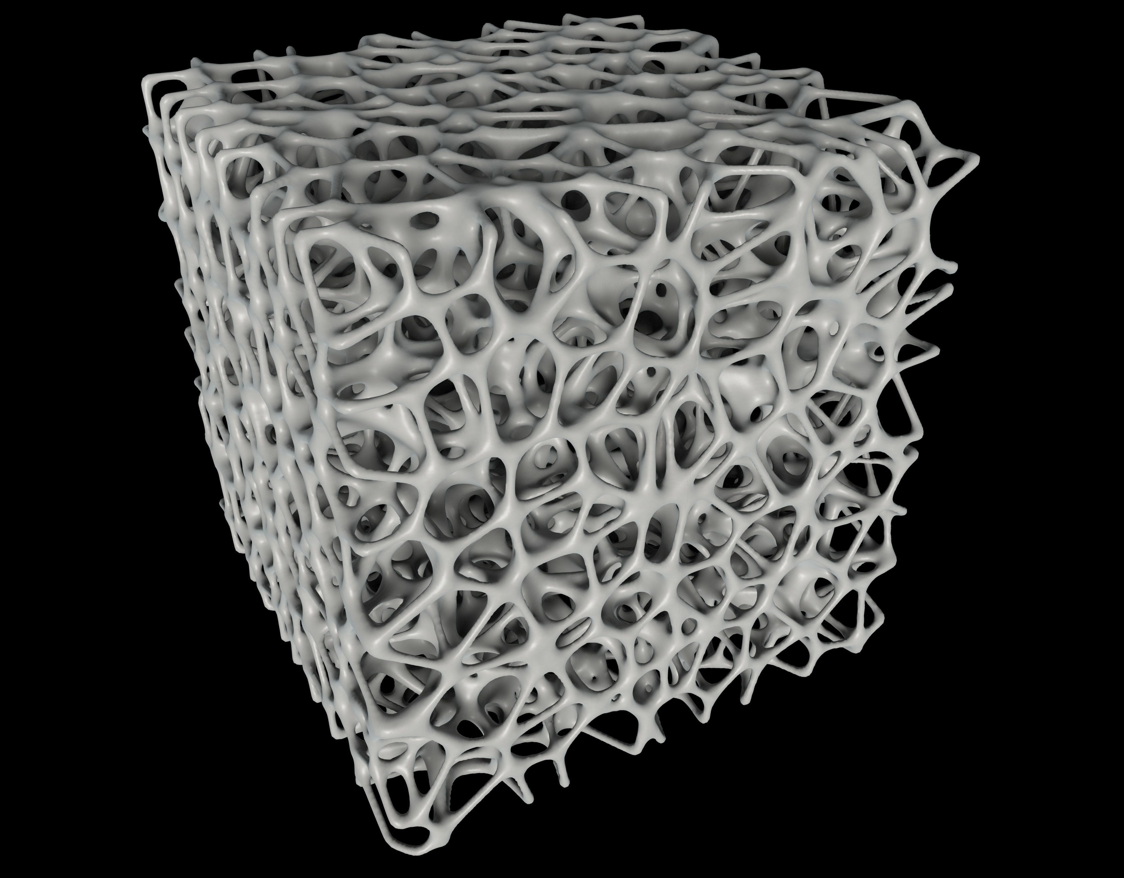 Bone Sponge Structure 3D model | CGTrader
