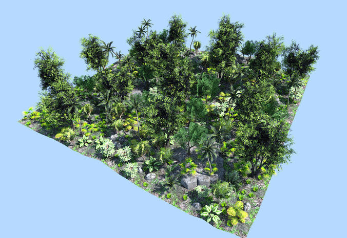 3D model deep jungle scene VR / AR / low-poly | CGTrader
