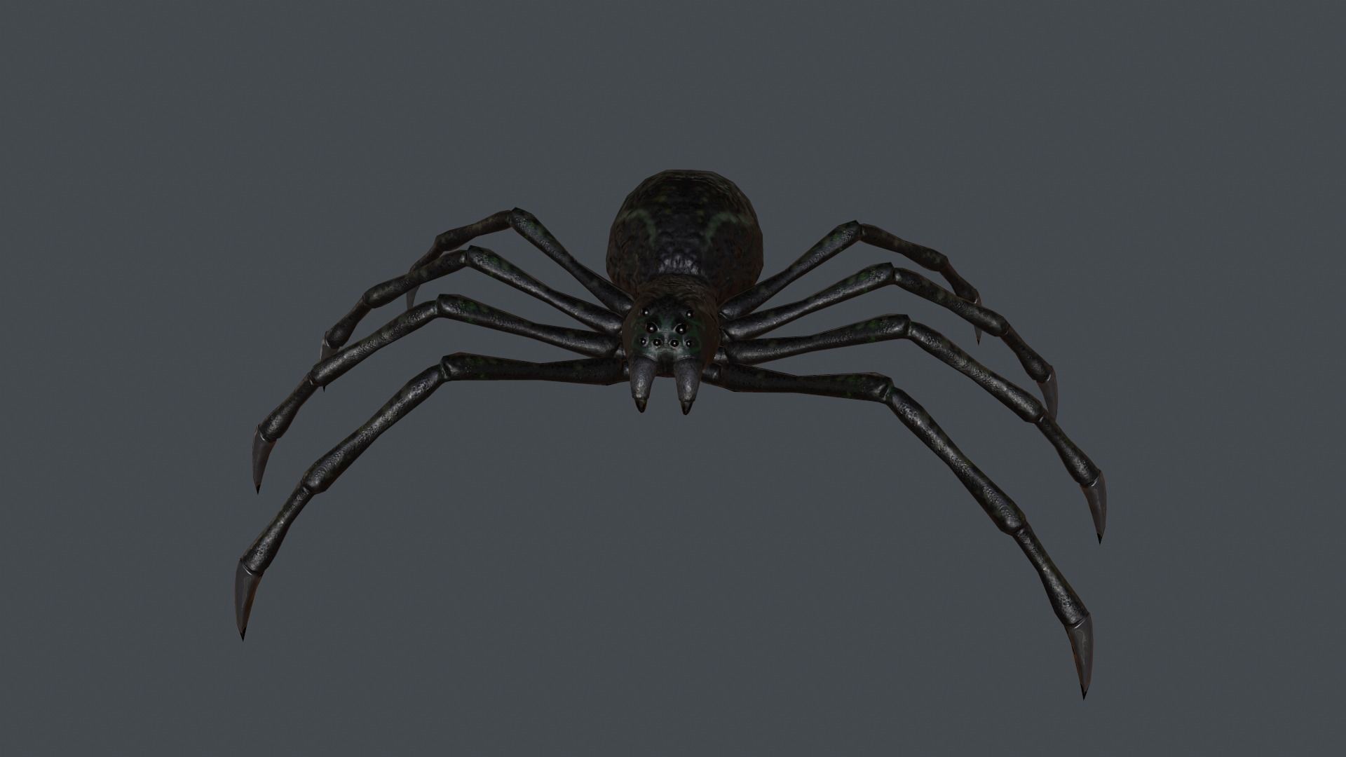 spider low poly free VR / AR / low-poly 3D model | CGTrader