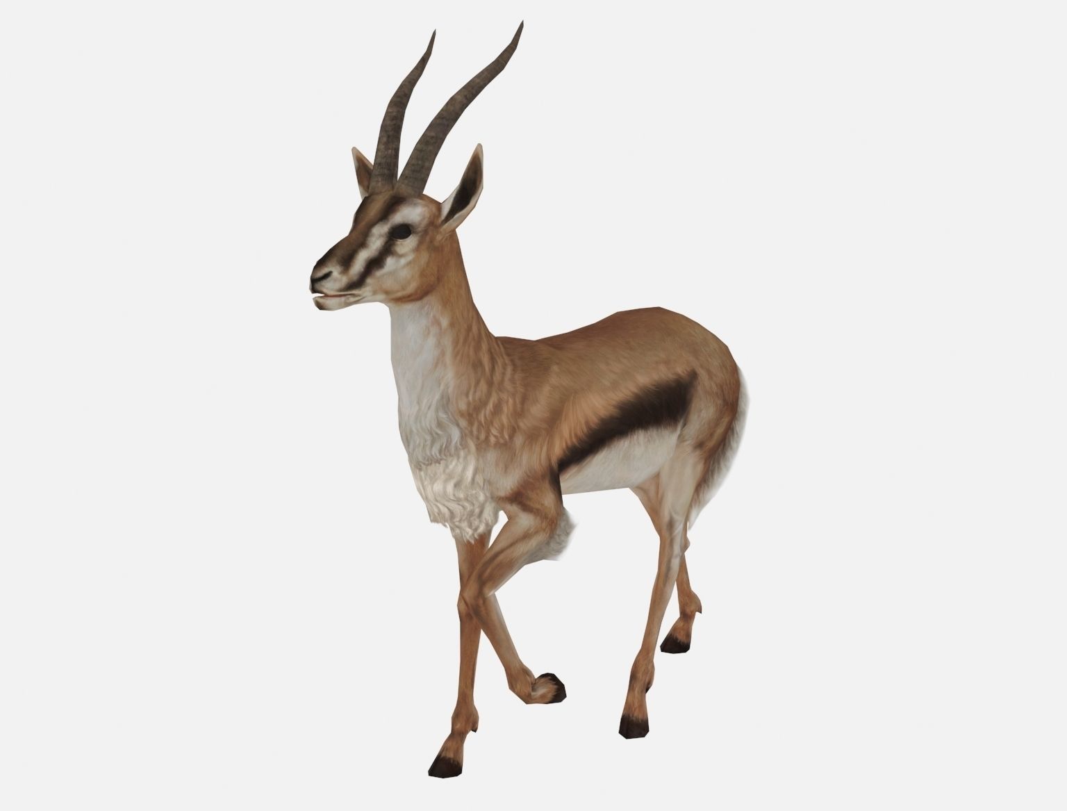 3D model antelope goat caprine sheep lamb deer animation VR / AR / low ...
