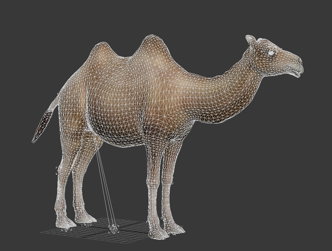 camel animation 3D model animated rigged | CGTrader