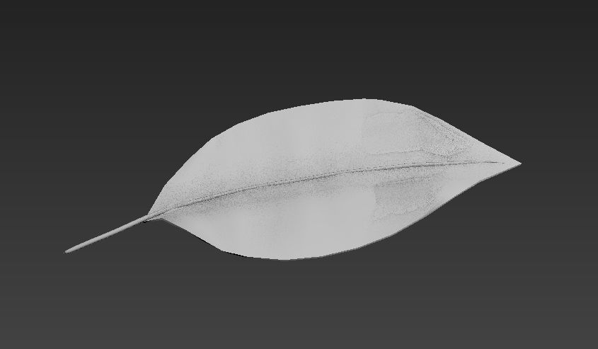 tree leaf free VR / AR / low-poly 3D model | CGTrader