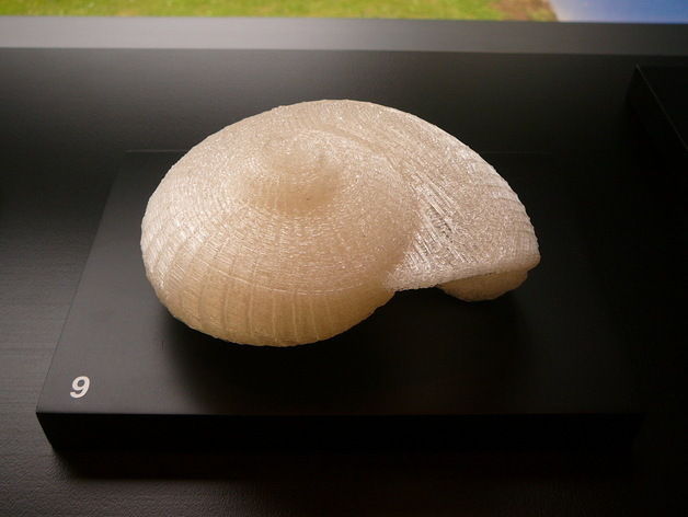 Giant snail shell free 3D model 3D printable | CGTrader