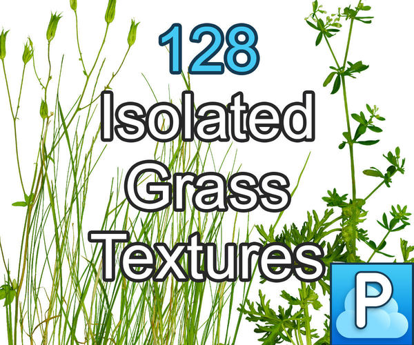 Isolated grass textures Texture | CGTrader