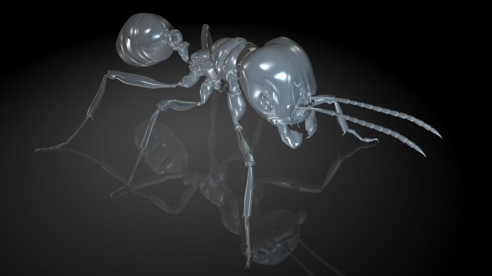 3D model Insect Collection 1 ant VR / AR / low-poly | CGTrader