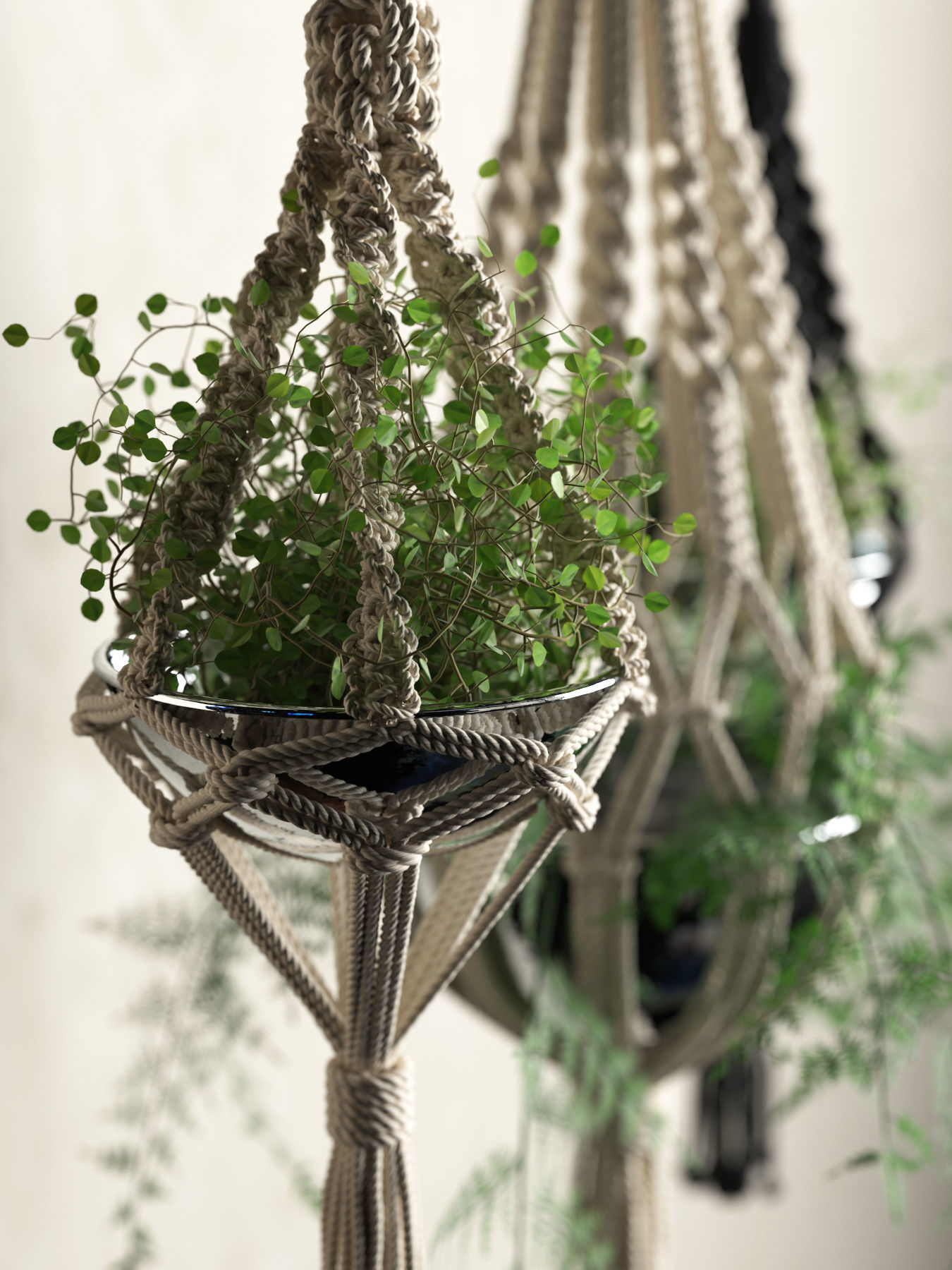 Macrame Hanging Pots with Plants 3D model | CGTrader