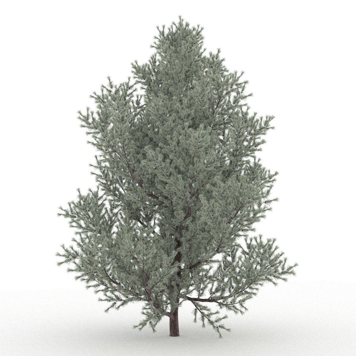 3D asset game-ready juniper03 | CGTrader