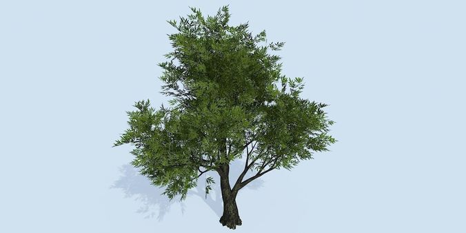 3D model Lowpoly 3Dmodel tree VR AR game 3LOD number39 VR / AR / low ...