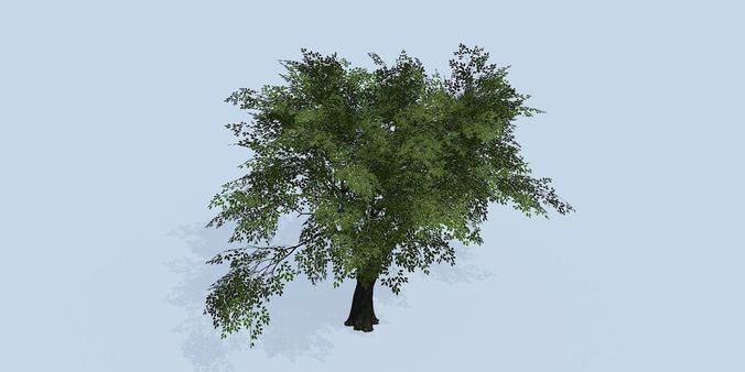 3D model Lowpoly 3Dmodel tree VR AR game 3LOD number50 VR / AR / low ...