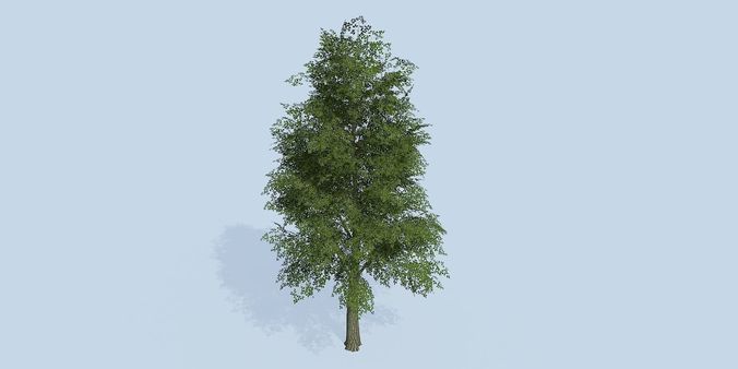 3D model Lowpoly 3Dmodel tree VR AR game 3LOD number52 VR / AR / low ...