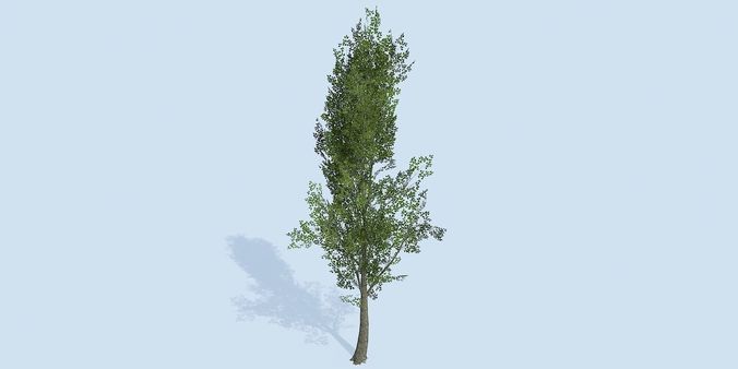 3D model Lowpoly 3Dmodel tree VR AR game 3LOD number62 VR / AR / low ...