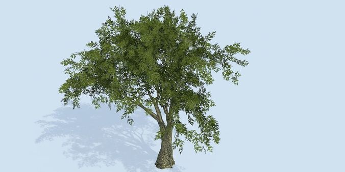 3D model Lowpoly 3Dmodel tree VR AR game 3LOD number68 VR / AR / low ...