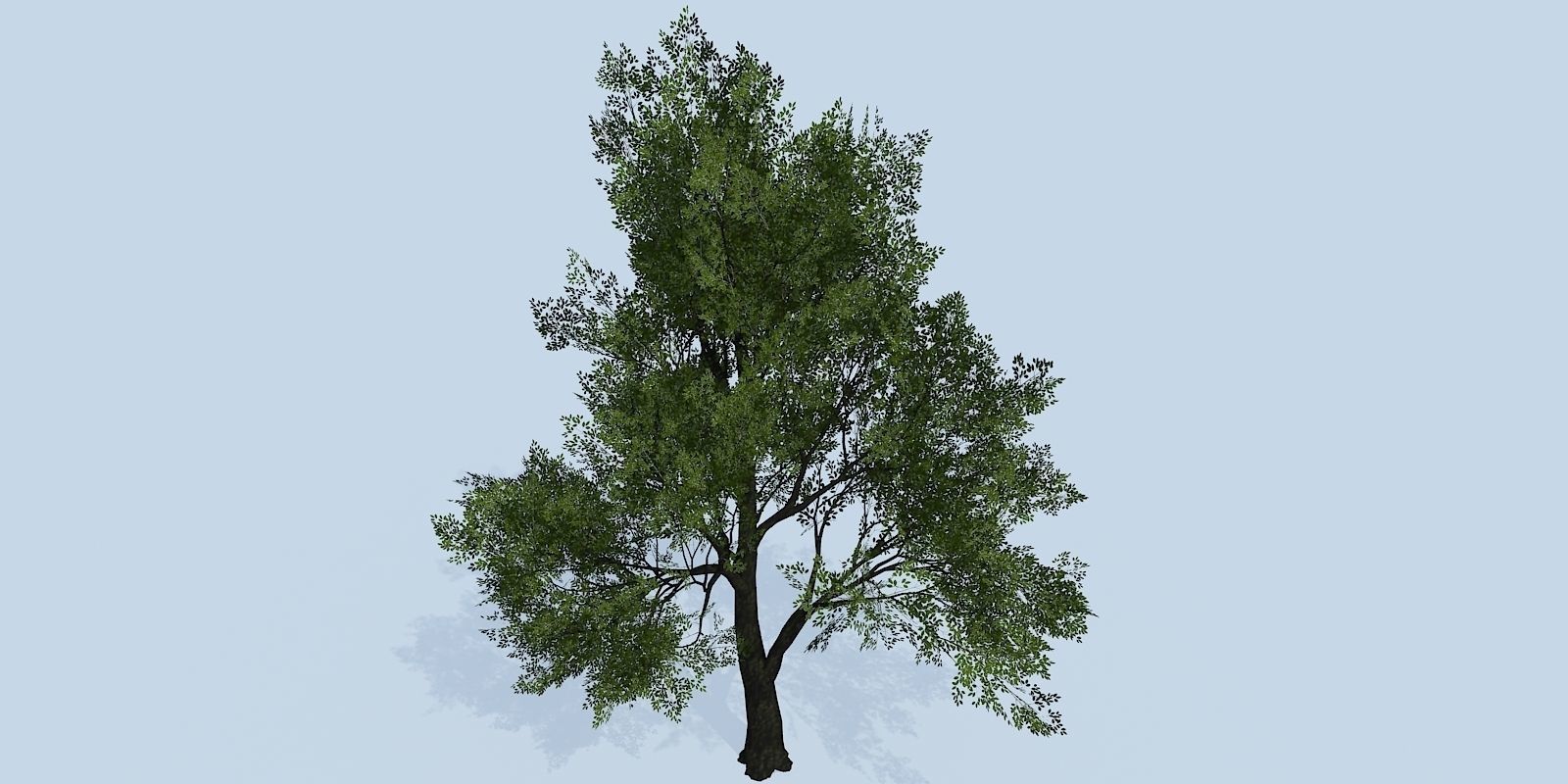 3D model Lowpoly 3Dmodel tree VR AR game 3LOD number52-61 VR / AR / low ...