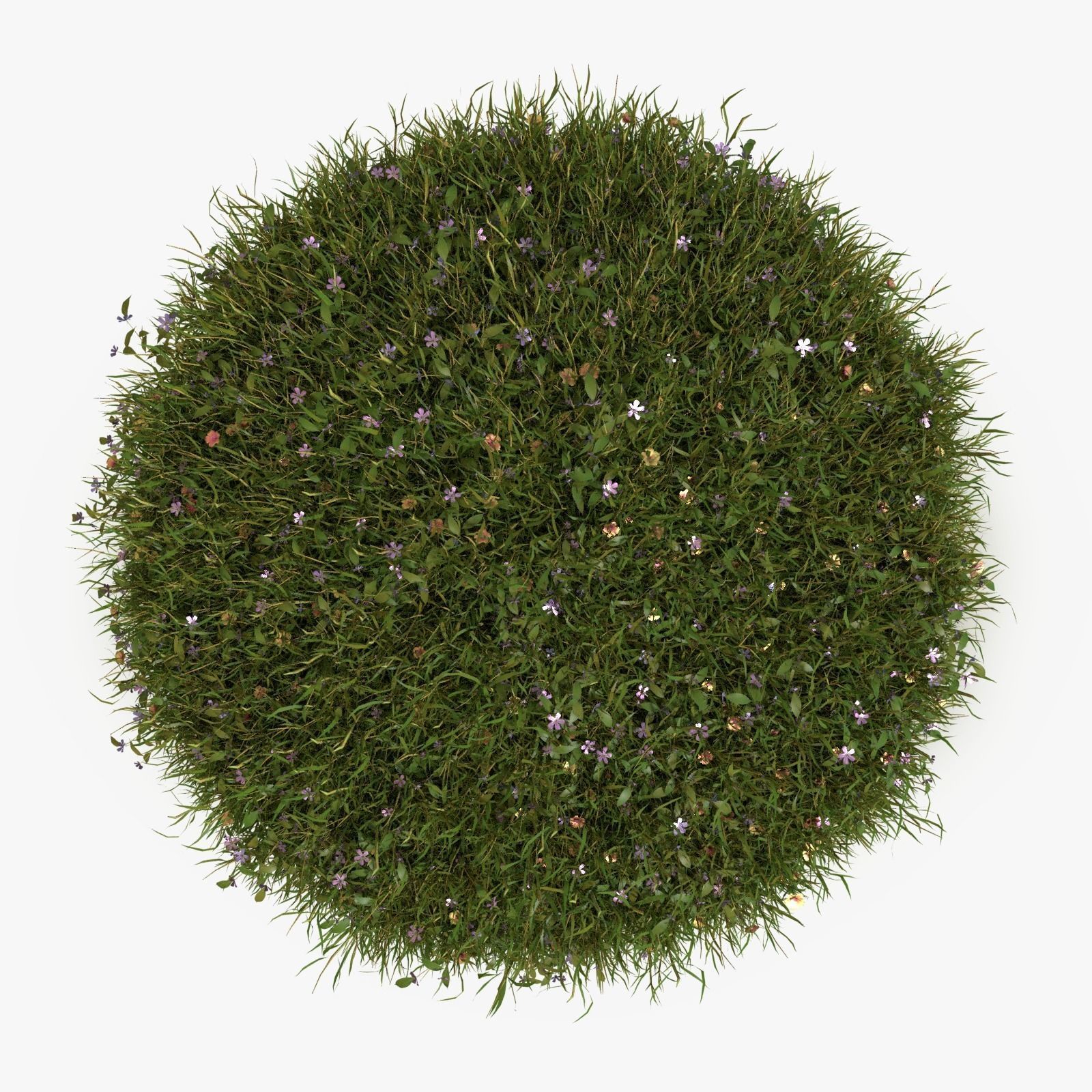 Grass round - previewed 3D model | CGTrader