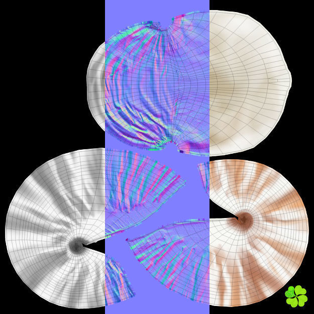 3D model Realistic shells low poly shell VR / AR / low-poly | CGTrader