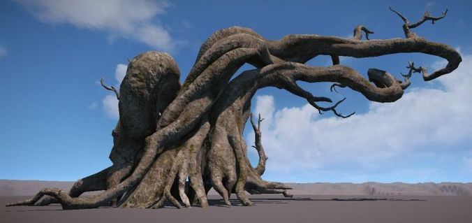 3D model Ancient Tree V3 VR / AR / low-poly | CGTrader
