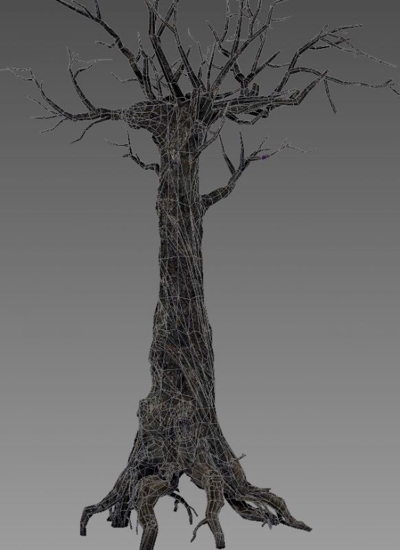 3D model Ancient Tree V6 VR / AR / low-poly | CGTrader