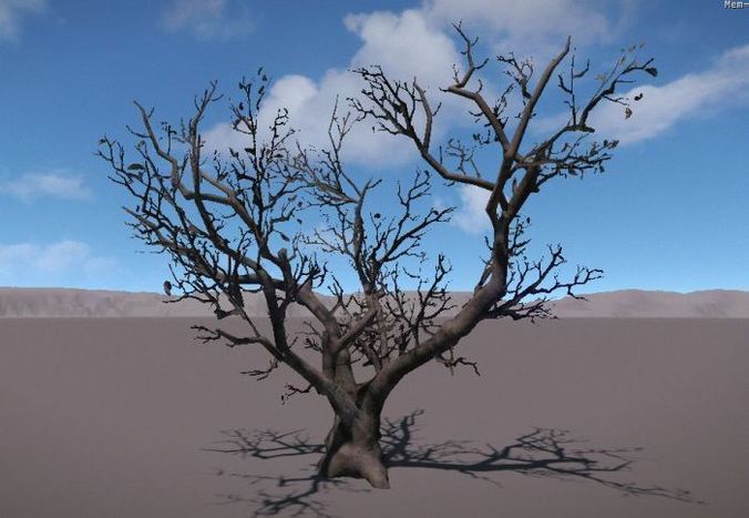 3D model Ancient Tree V8 VR / AR / low-poly | CGTrader