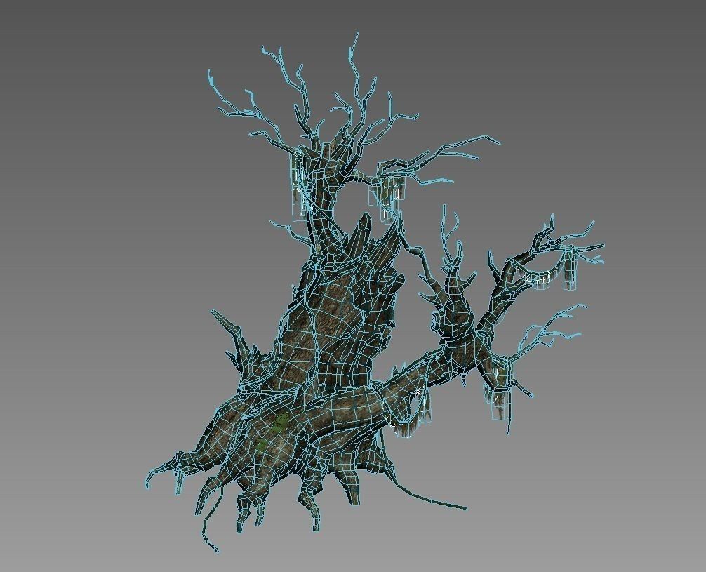 3D model Ancient Tree V10 VR / AR / low-poly | CGTrader