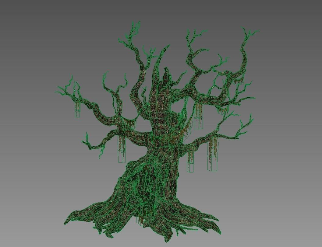 3D model Ancient Tree V17 VR / AR / low-poly | CGTrader