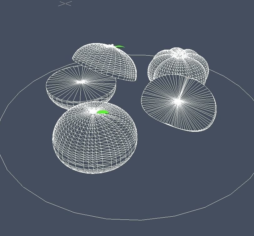 Japanese Orange Mikan free 3D model | CGTrader